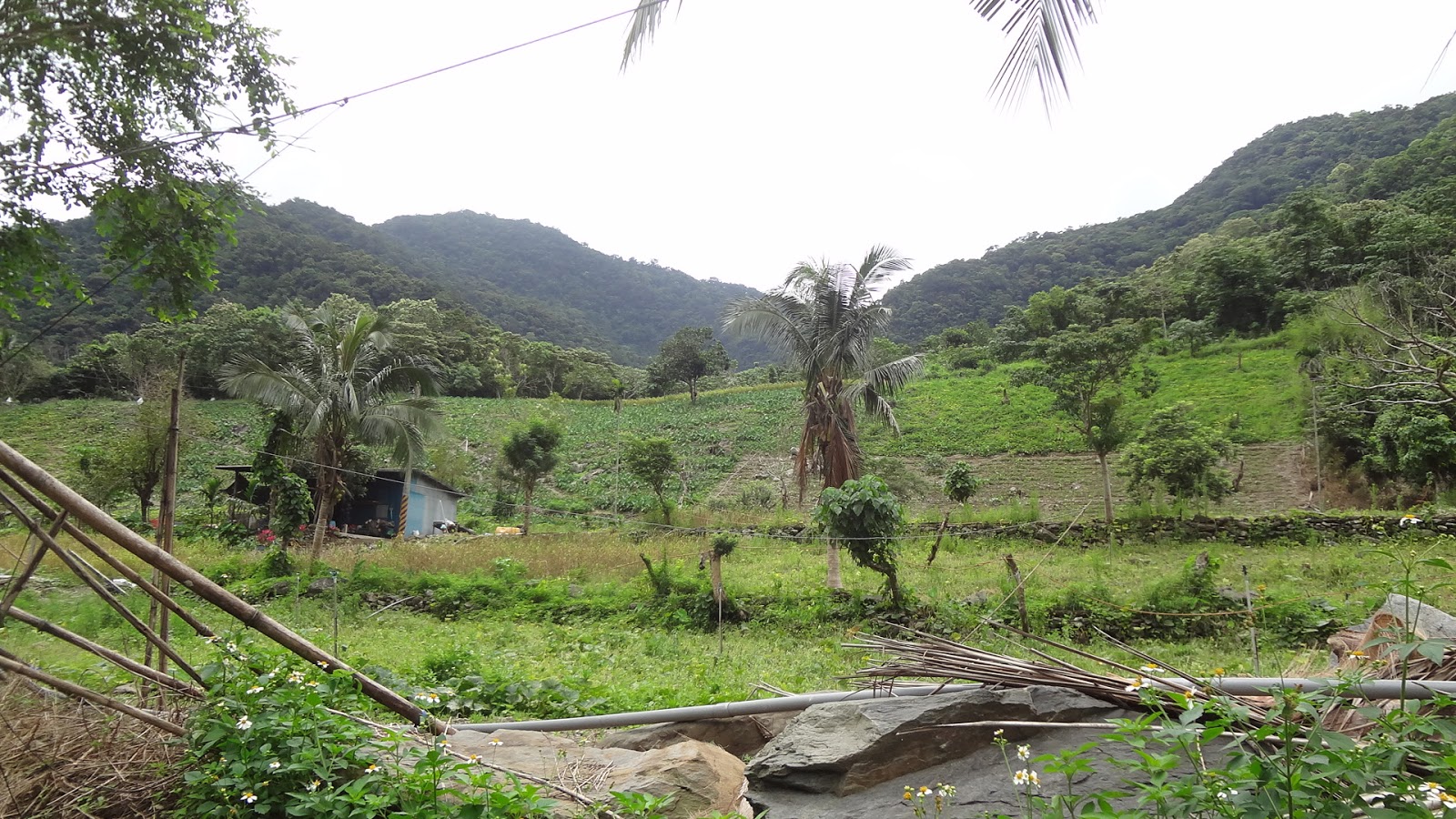 Tawu_Mountain_Nature_Reserve - S.P.E.C.I.E.S.