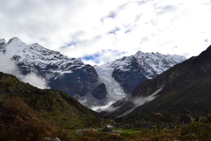 Snow Leopard - S.P.E.C.I.E.S.