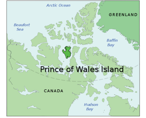 The Alexander Archipelago Wolf - S.P.E.C.I.E.S.