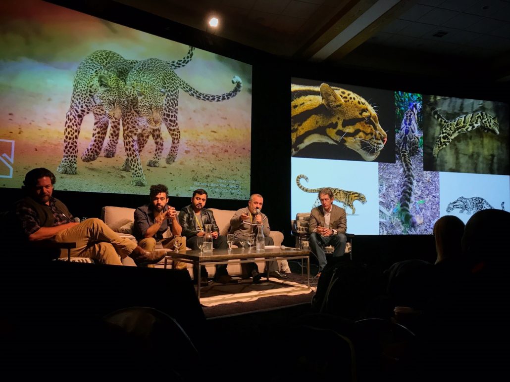 JHFF_CATS_IN_THE_SHADOWS_TALK_Giordano - S.P.E.C.I.E.S.